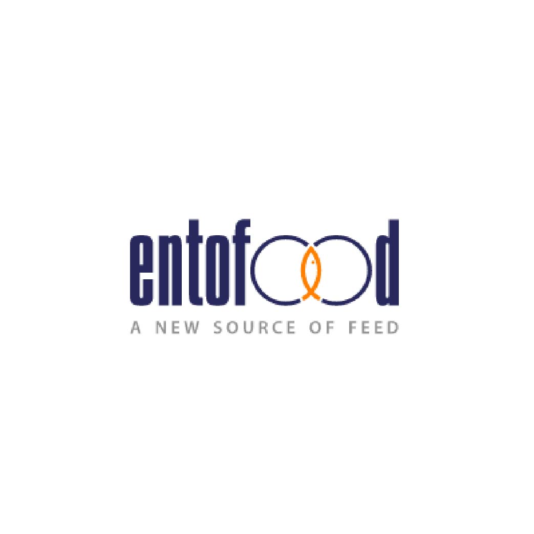 Our Services | Entomal Biotech